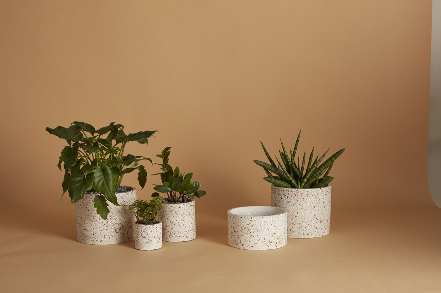 Terrazzo Pot 7" | Plantstay | Gainesville Houseplant Shop