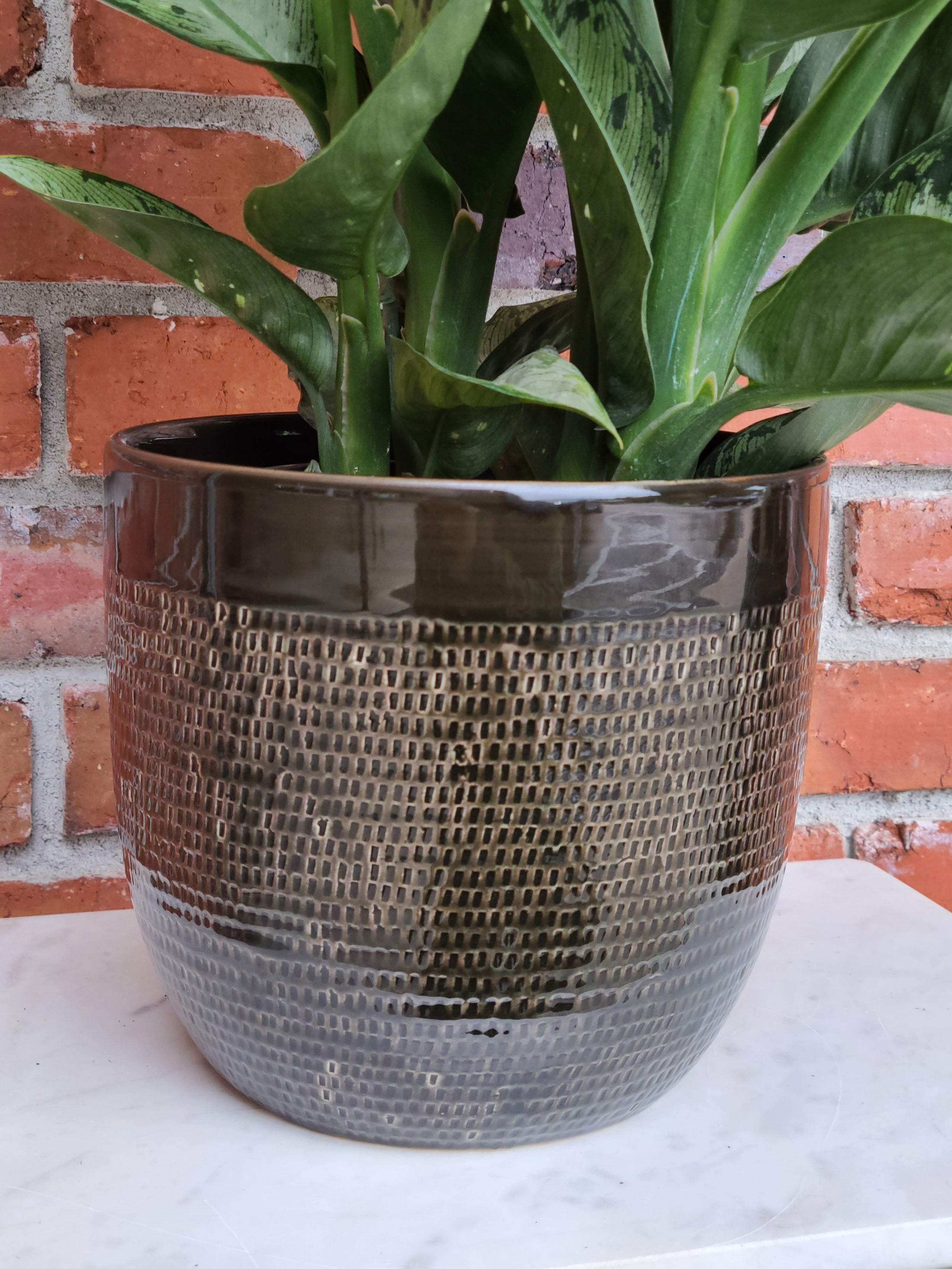 Val Pot 6" | Plantstay | Gainesville Houseplant Shop