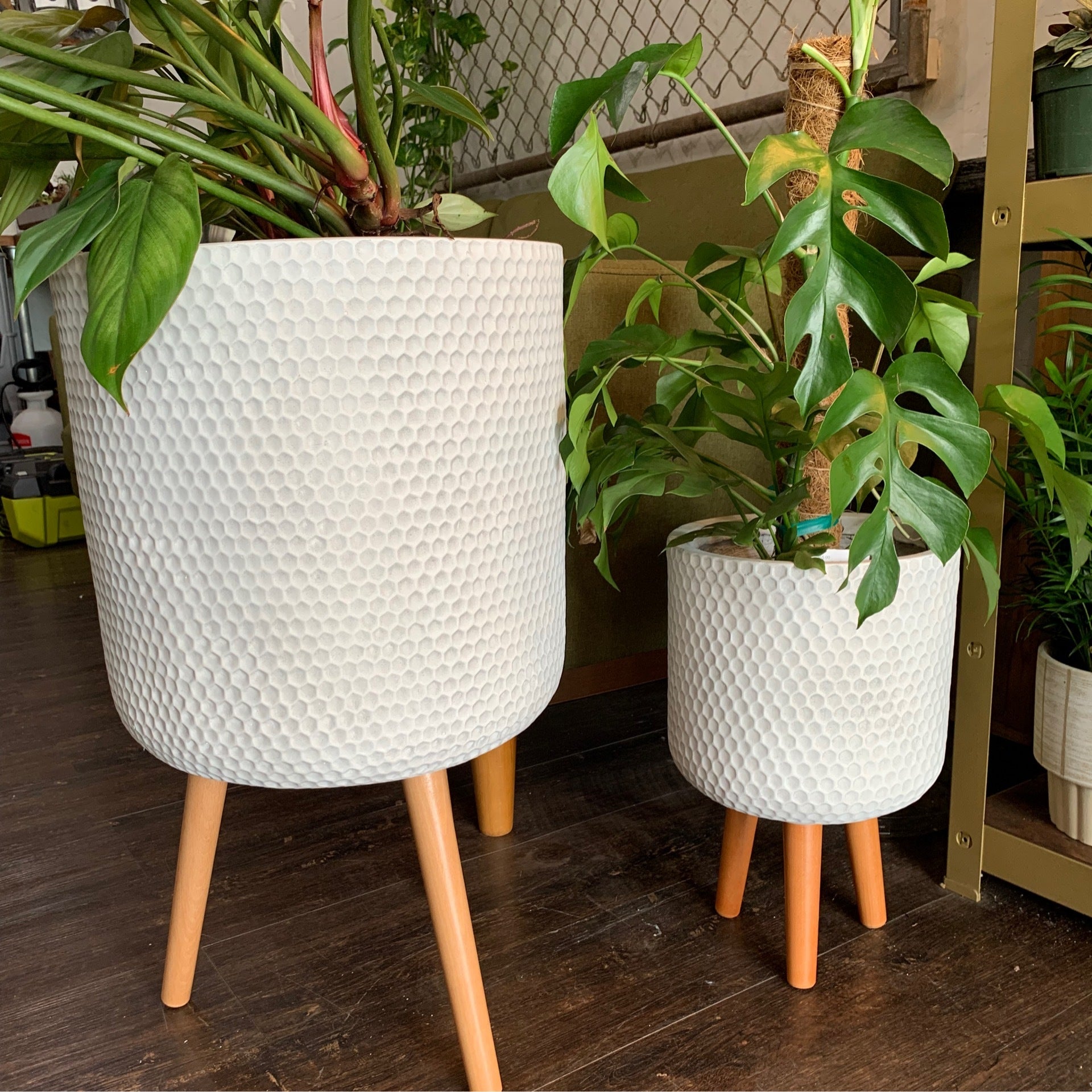 Honeycomb Planter w/ Legs | Plantstay | Gainesville Houseplant Shop