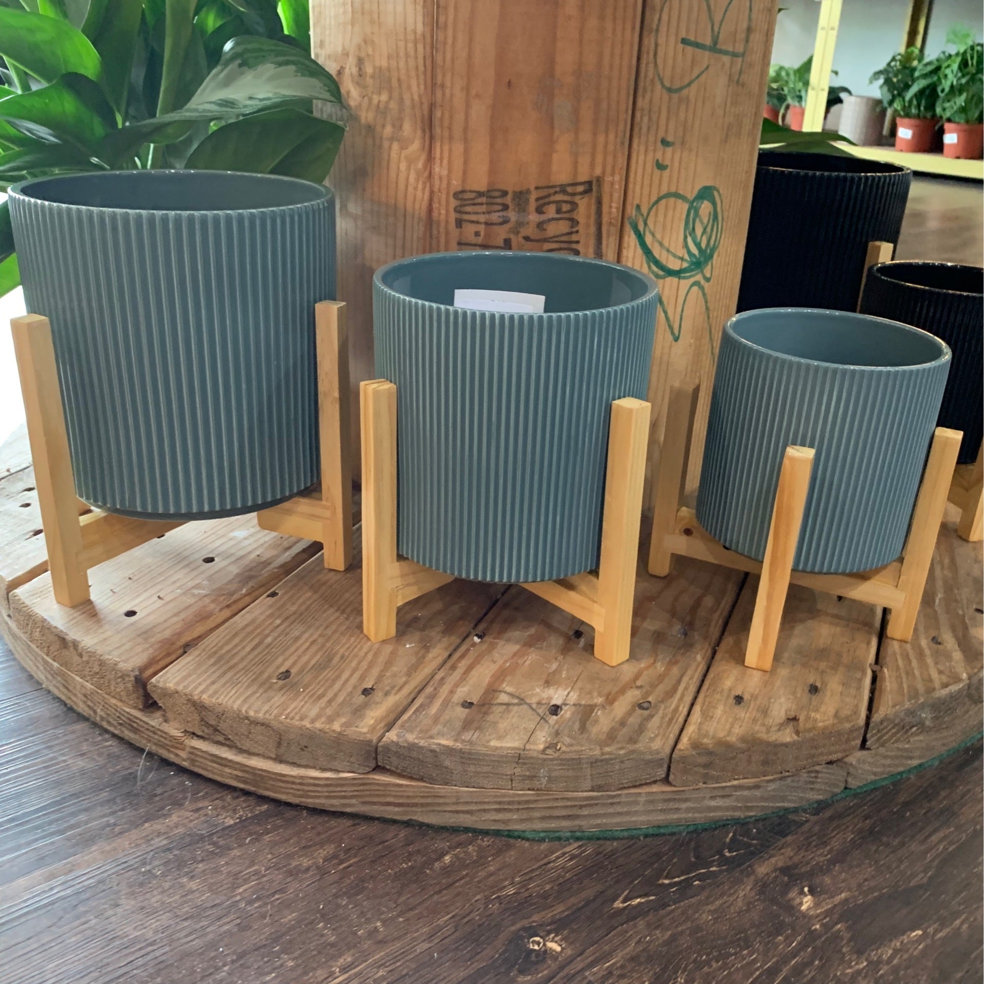 Vertical Rib Ceramic Pot w/ Legs | Plantstay | Gainesville Houseplant Shop