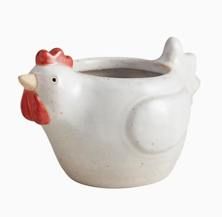 Chicken Planter | Plantstay | Gainesville Houseplant Shop
